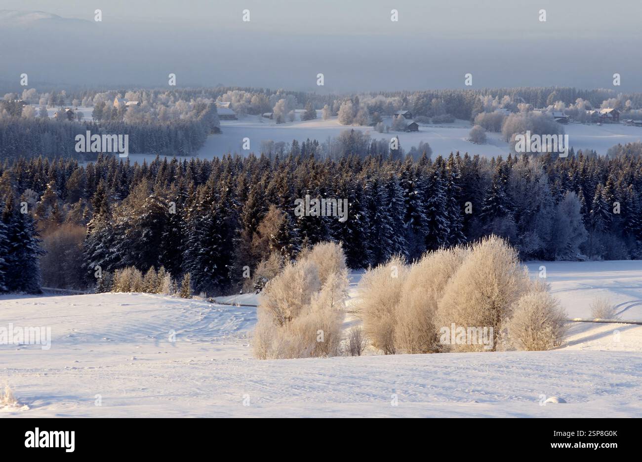Winter landscape, snow covered fields, meadows and forests. Village and ...