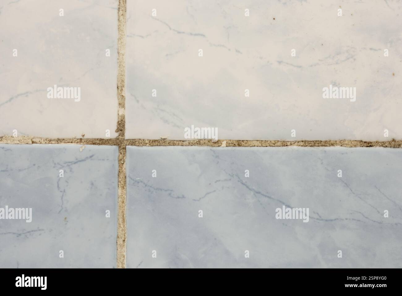 Black mold on ceramic tile seam Stock Photo - Alamy