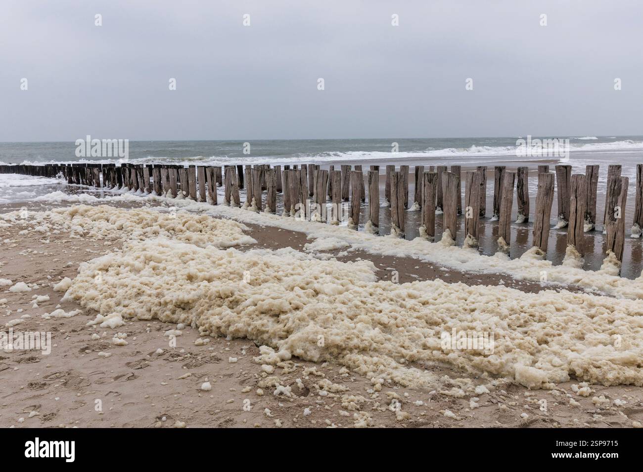 foam caused by the death of algae blooms on the beach in Domburg on ...