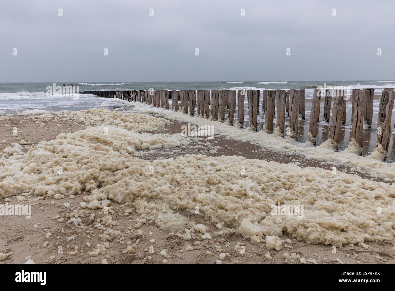 foam caused by the death of algae blooms on the beach in Domburg on ...