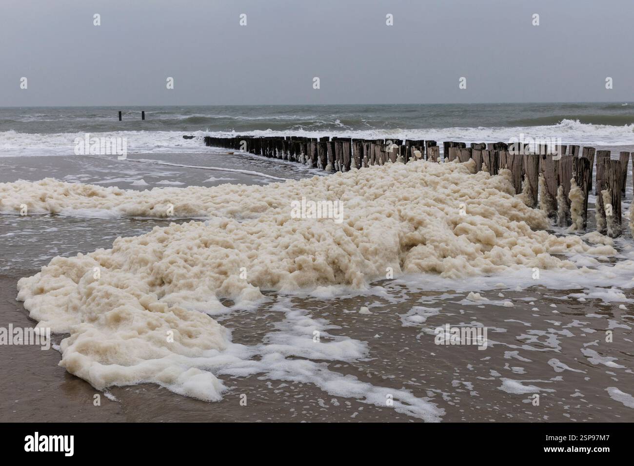 foam caused by the death of algae blooms on the beach in Domburg on ...