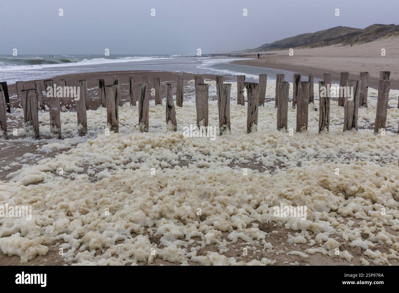 foam caused by the death of algae blooms on the beach in Domburg on ...