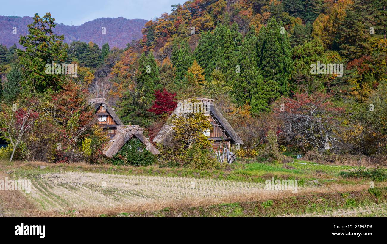 Thatched Roof Buildings in Shirakawa-go, Japan Stock Photo - Alamy