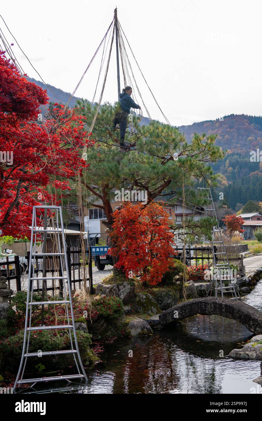 Straw Ropes Yukitsuri Protect Trees Against Snow in Shirakawa-go, Japan ...