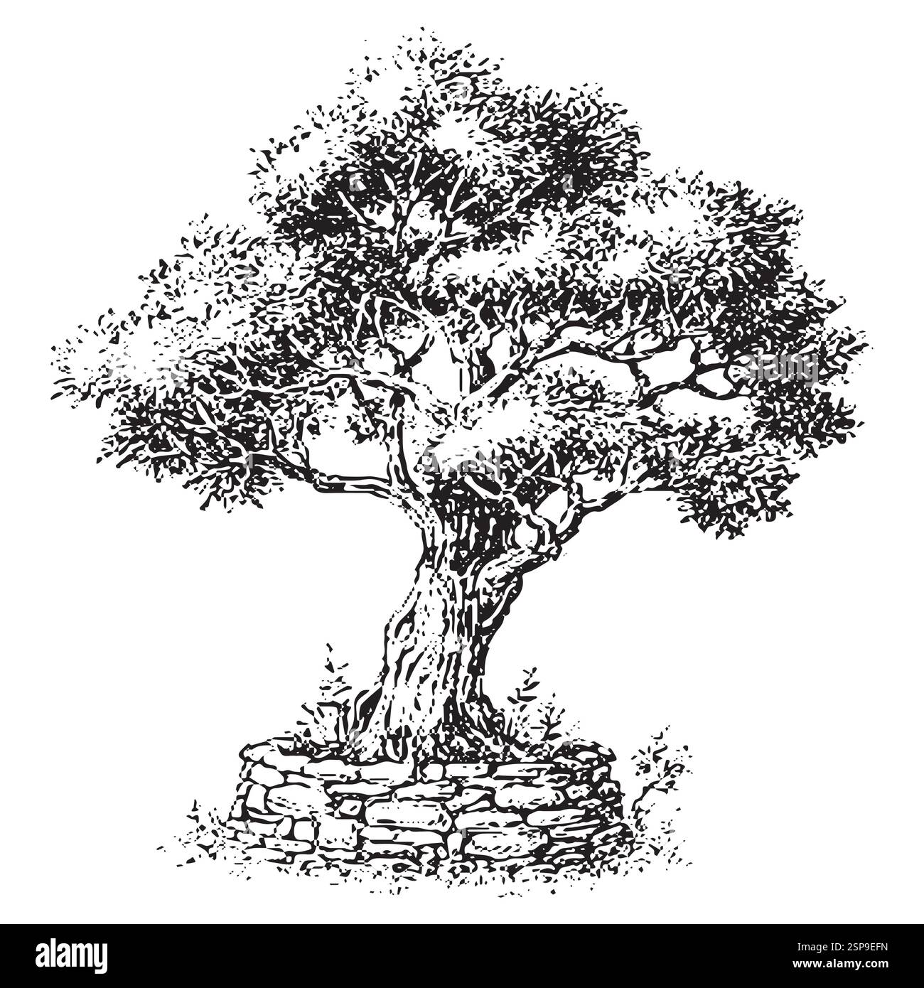 Tree vector illustration hand drawn sketch style isolated on white ...