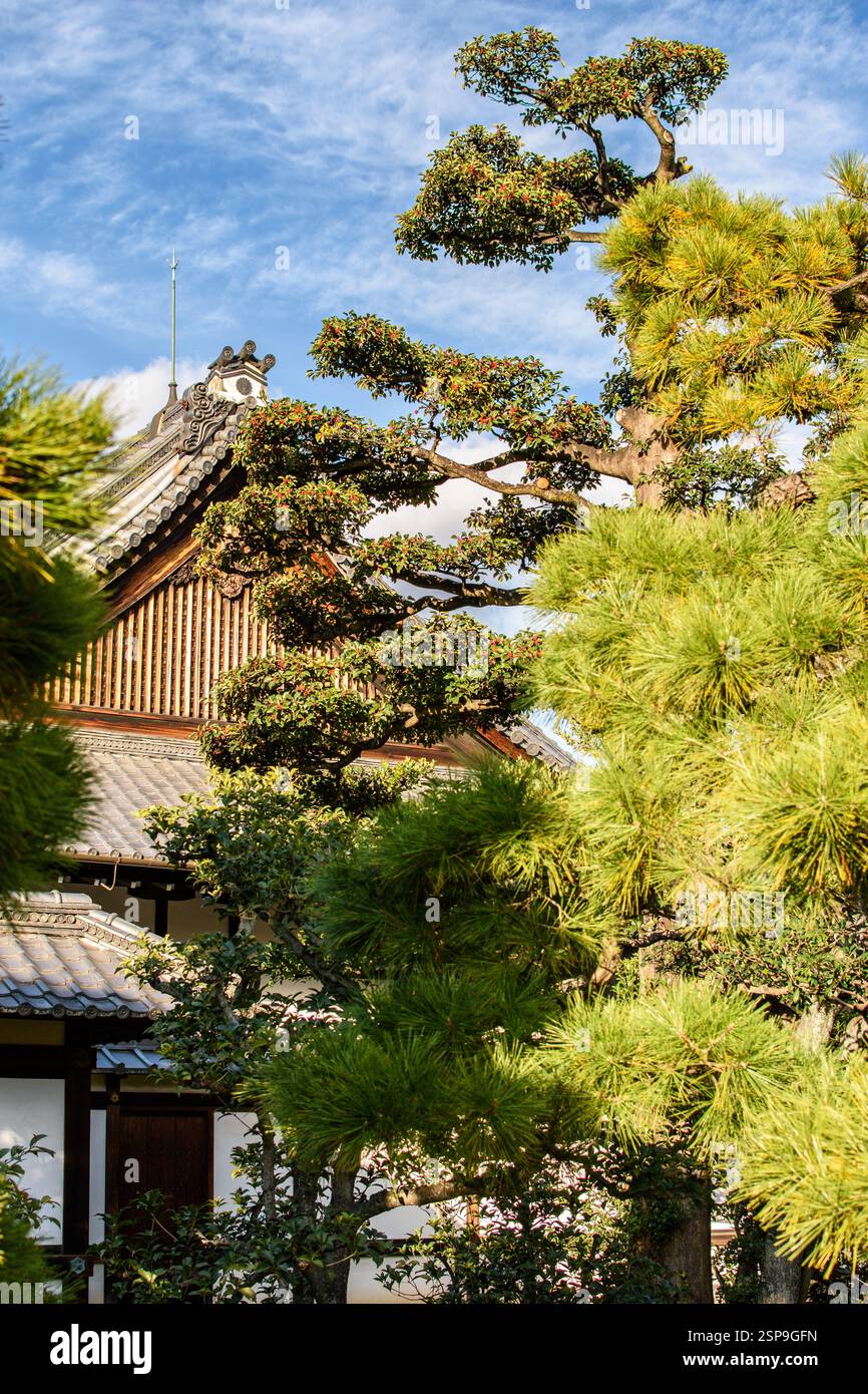 Old Japanese Tokugawa Shogun residence of Nijo castle in Kyoto city ...