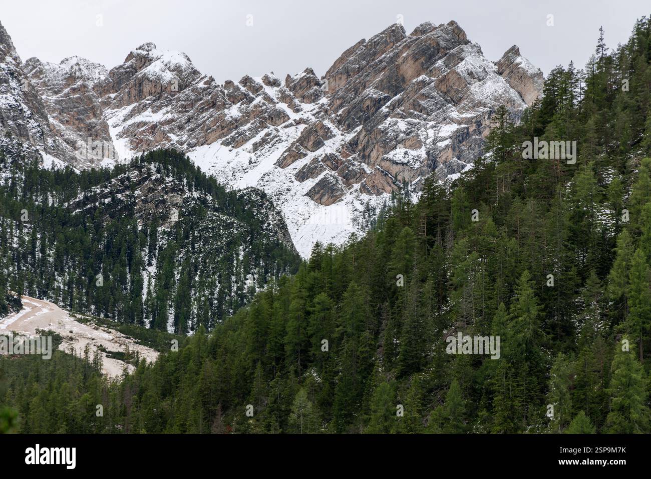 Rugged peaks of the Dolomites, including Croda del Becco, rise above ...