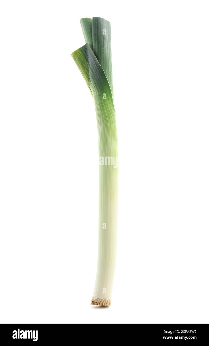 One fresh leek isolated on white. Spicy vegetable Stock Photo - Alamy