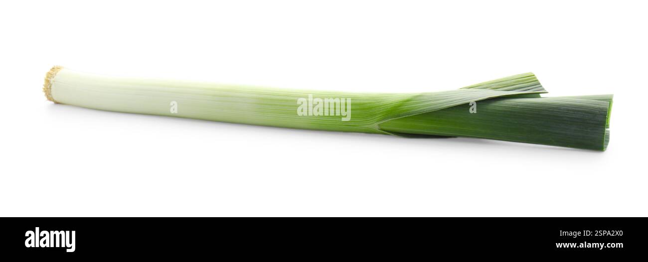 One fresh leek isolated on white. Spicy vegetable Stock Photo - Alamy