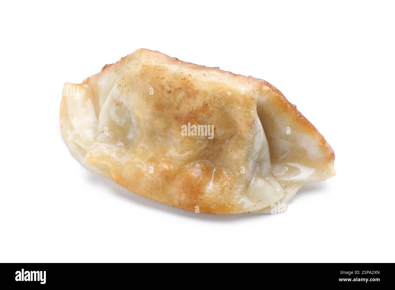 One fried gyoza dumpling isolated on white Stock Photo - Alamy
