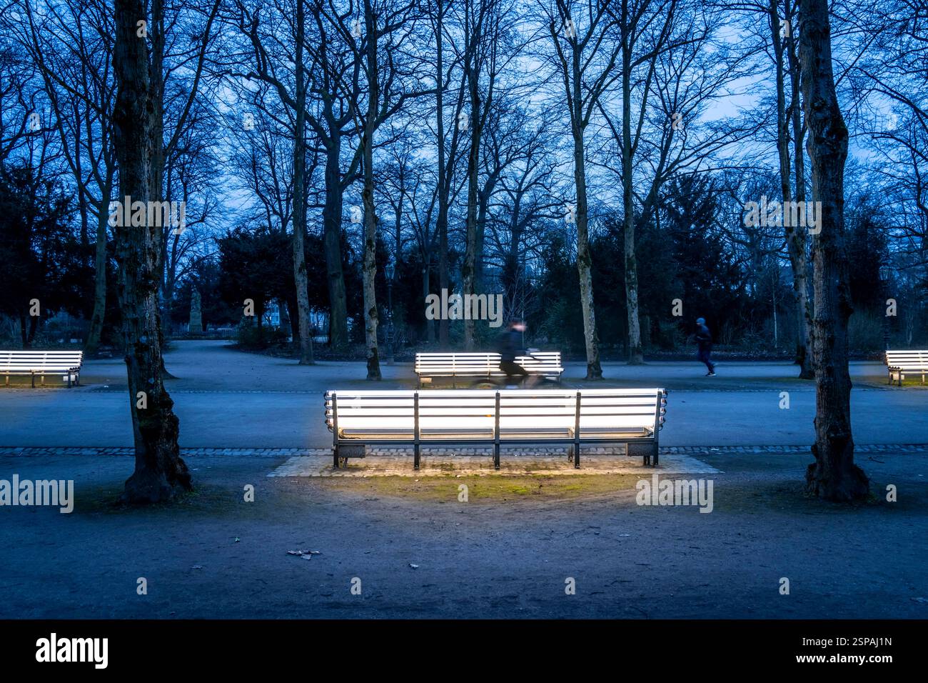 The light banks of the artist Stefan Sous in the Hofgarten, title UV-A ...