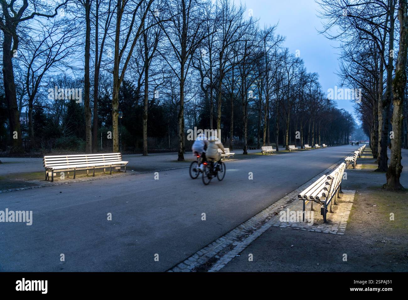 The light banks of the artist Stefan Sous in the Hofgarten, title UV-A ...