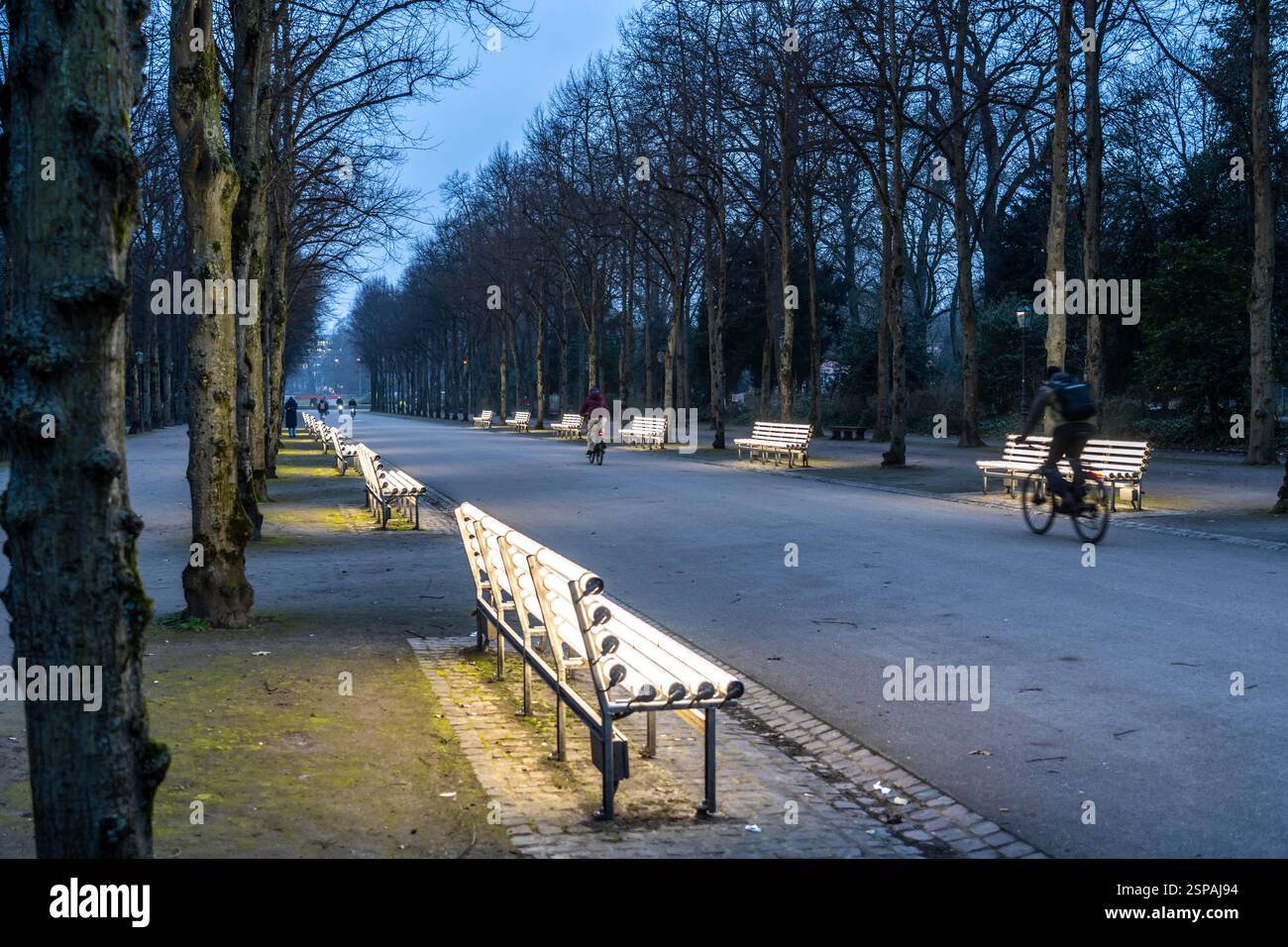 The light banks of the artist Stefan Sous in the Hofgarten, title UV-A ...