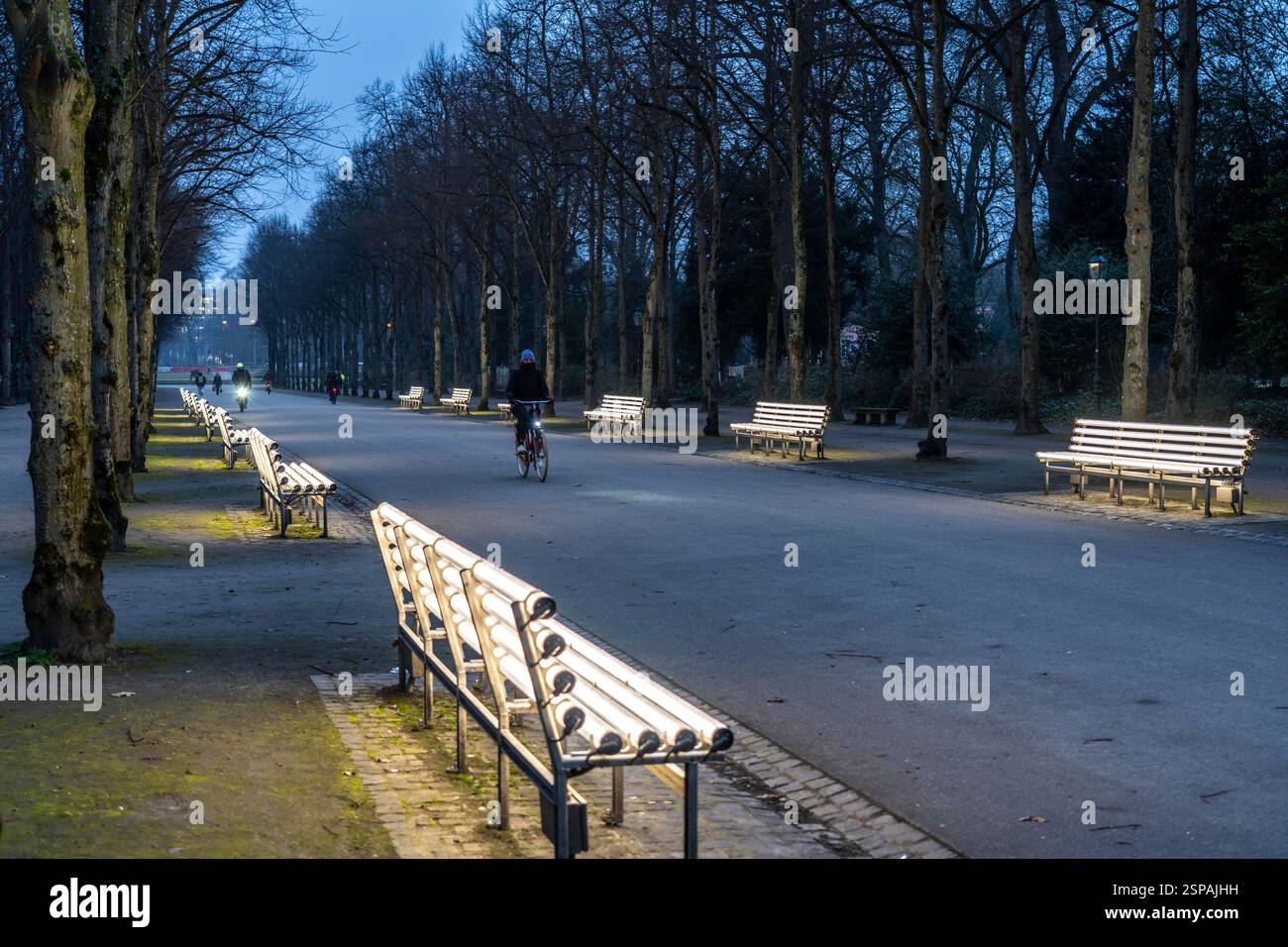 The light banks of the artist Stefan Sous in the Hofgarten, title UV-A ...