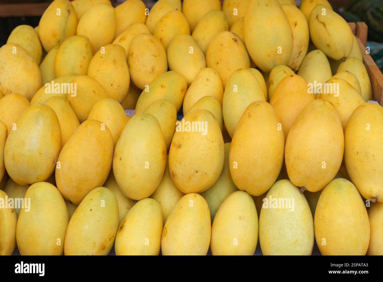 close-up shot of ripe, golden mangoes piled high at a street market ...