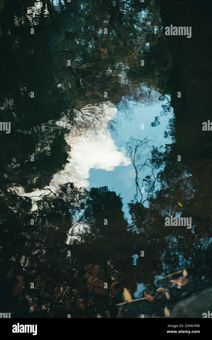 sky in water Stock Photo - Alamy