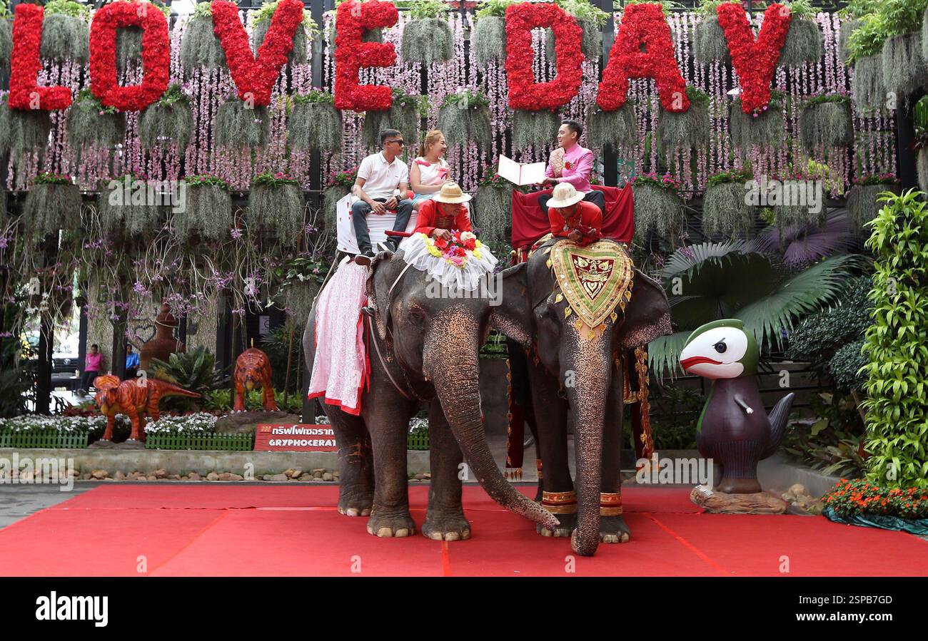Pattaya, Thailand. 14th Feb, 2025. A couple rides elephant during a ...