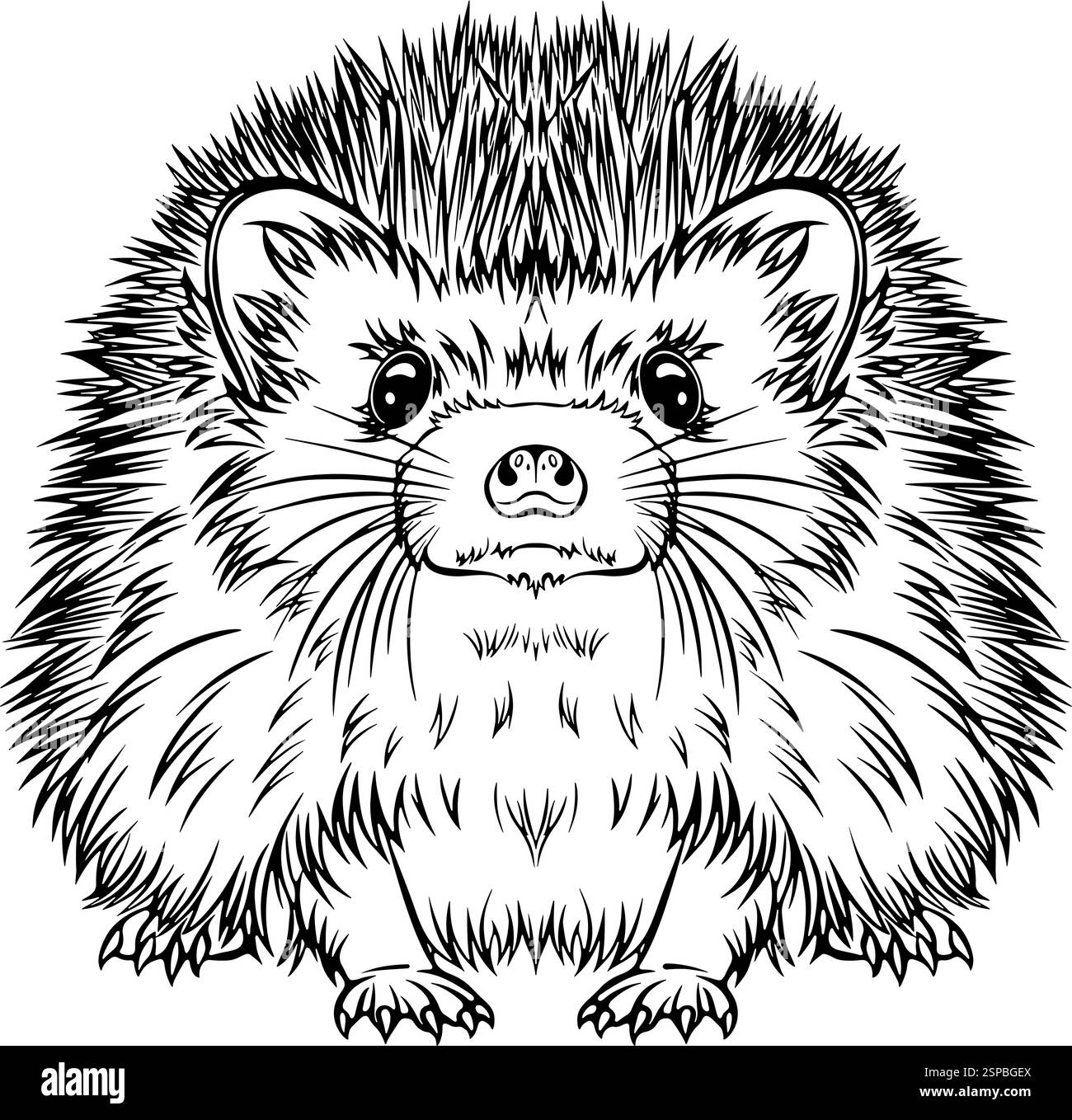 Hedgehog front view line art Stock Vector Image & Art - Alamy