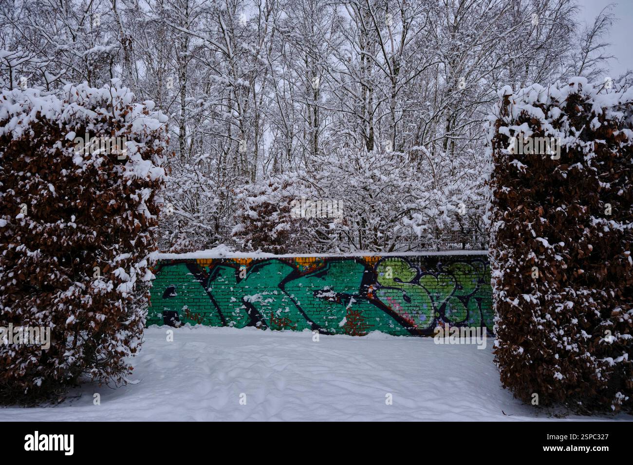 Winter in Berlin Deutschland, Berlin, 14.02.2025, Mauerpark, Hecke ...