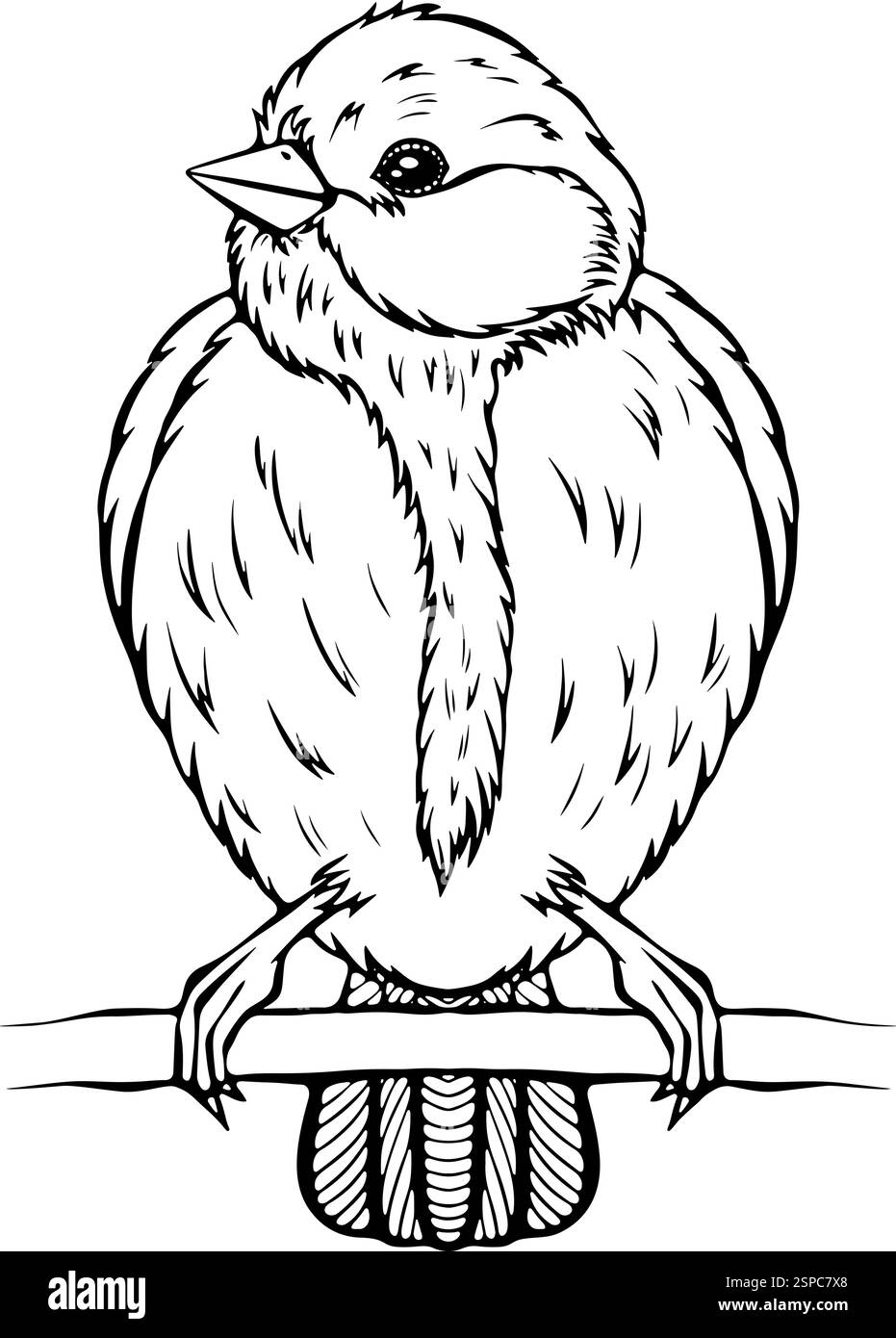 Branch sitting Cut Out Stock Images & Pictures - Alamy