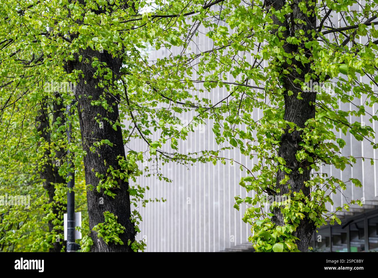 Swiss Cottage Library, London designed by Sir Basil Spence Stock Photo ...