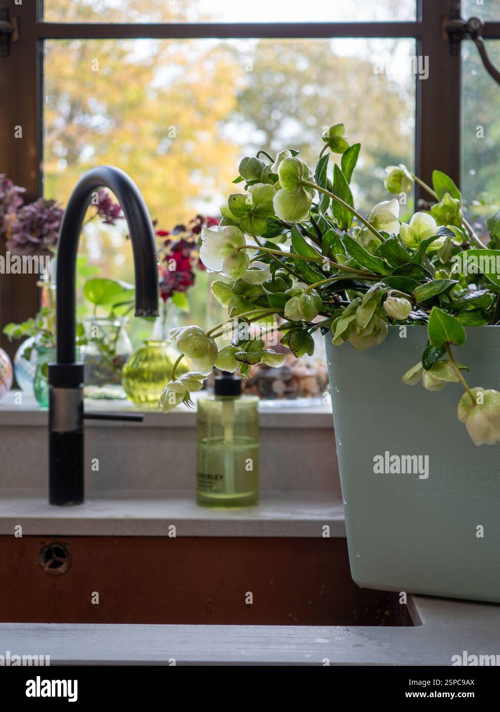 Crittall windows hi-res stock photography and images - Alamy