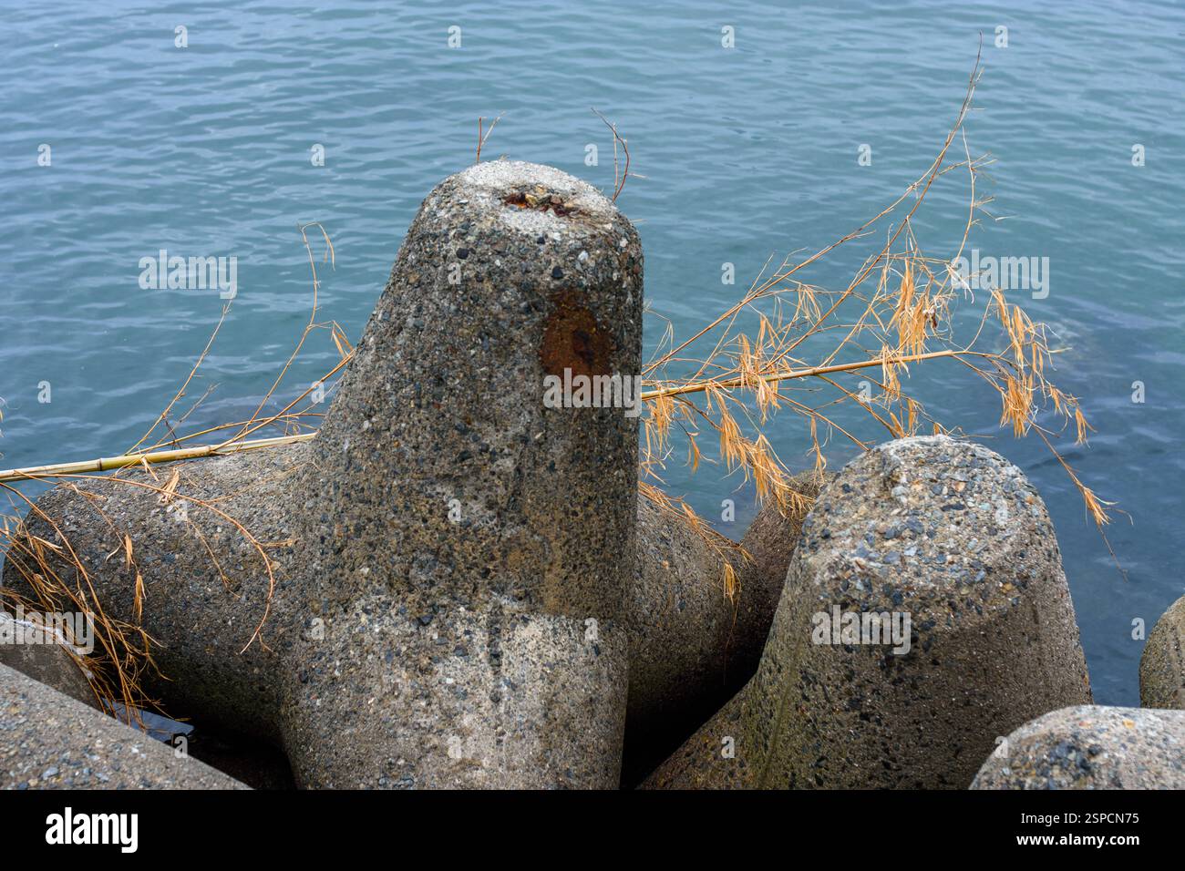 Protective concrete tetrapod blocks in the Osaka Bay, protecting the ...