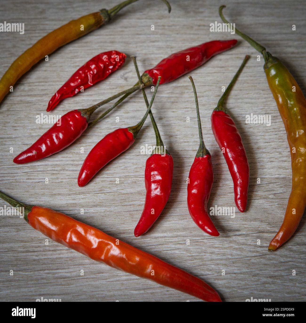 various food and chefs ingredients for spicy food with hot chilli ...