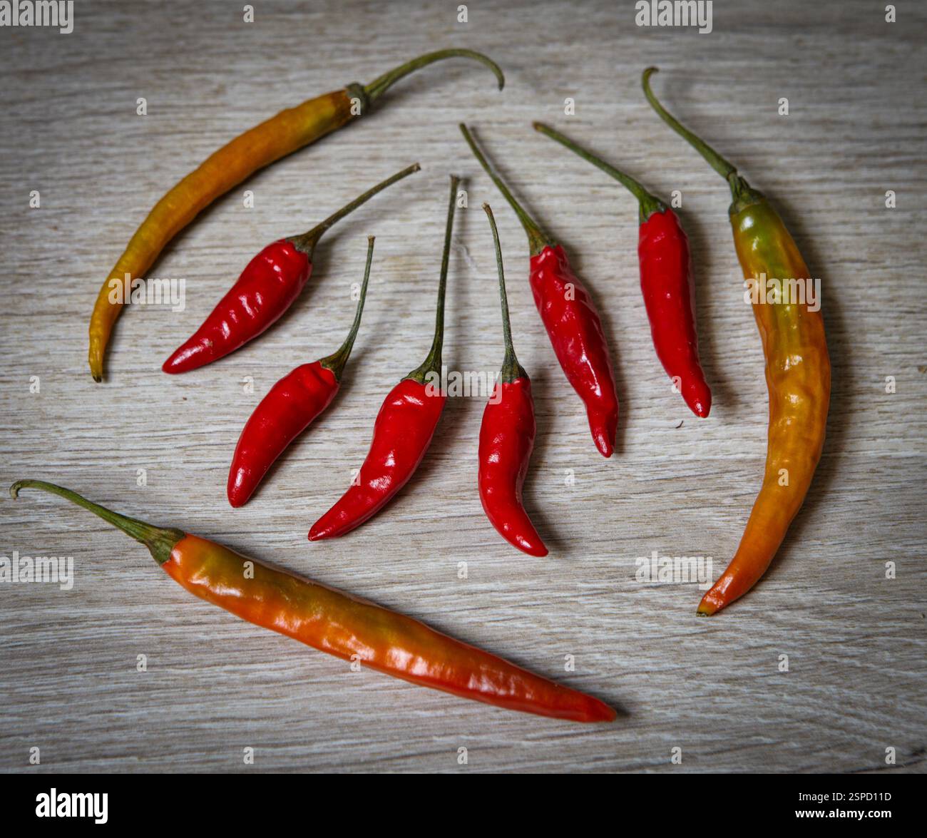 various food and chefs ingredients for spicy food with hot chilli ...