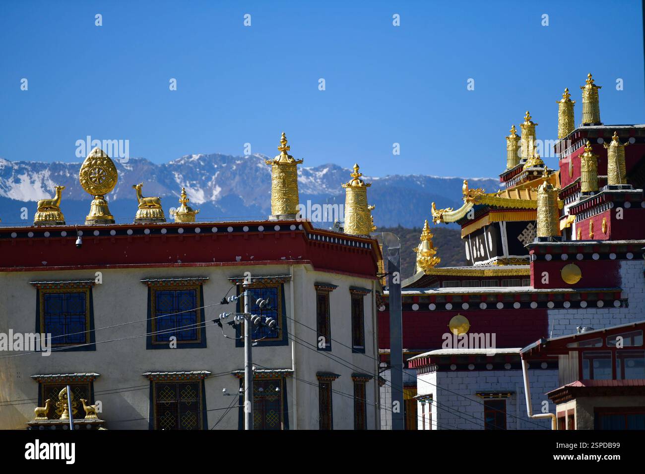 Gadan Songzanlin Temple, the largest Tibetan Buddhist monastery in ...