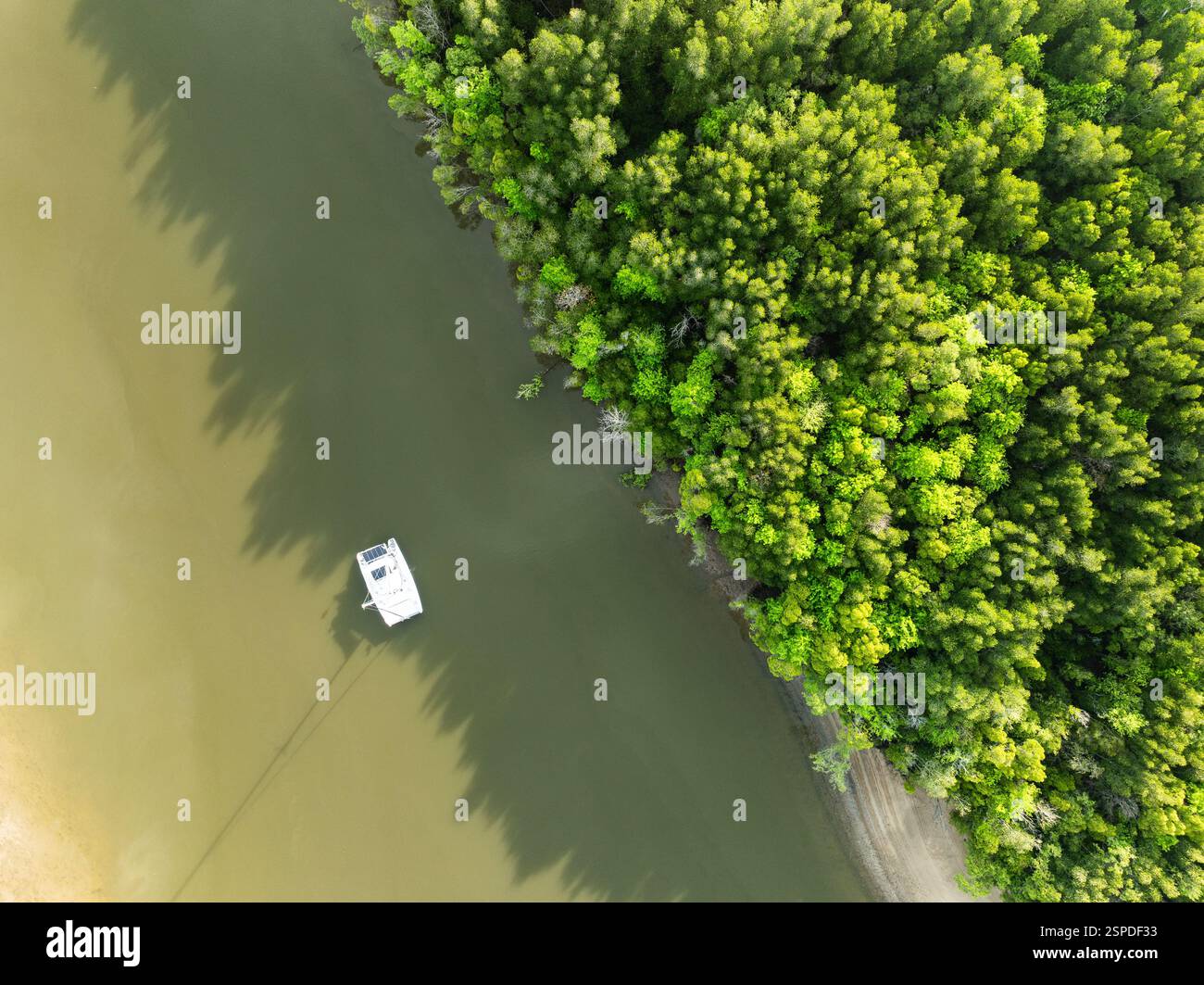 Top view Forest lake landscape,Rainforest ecosystem and healthy ...