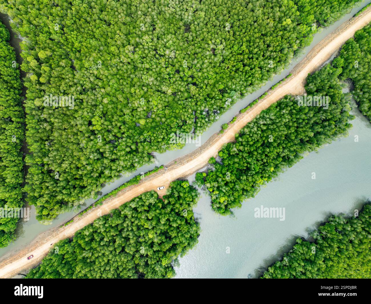 Top view Forest lake landscape,Rainforest ecosystem and healthy ...