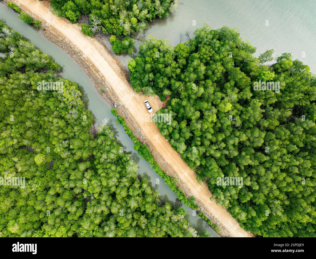 Top view Forest lake landscape,Rainforest ecosystem and healthy ...