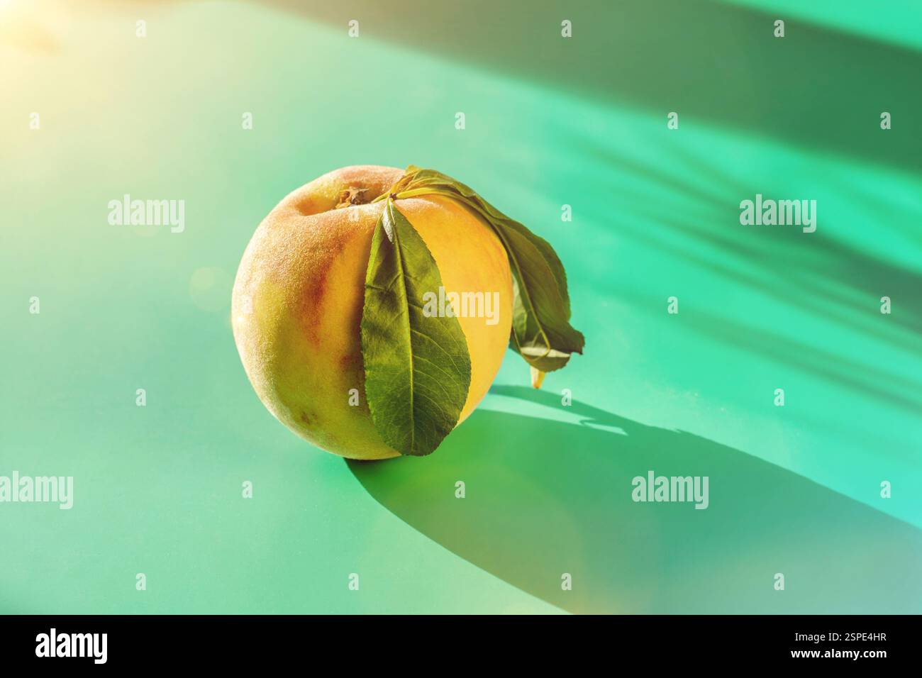 Juicy fresh single peach in the sun on a vibrant background Stock Photo ...