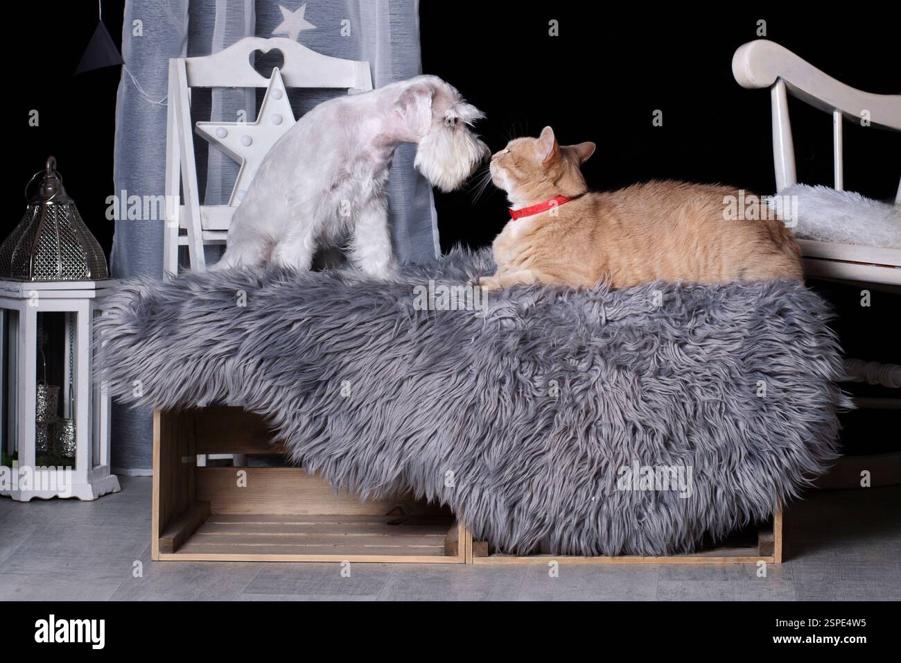 Adorable couple kissing in hi-res stock photography and images - Alamy