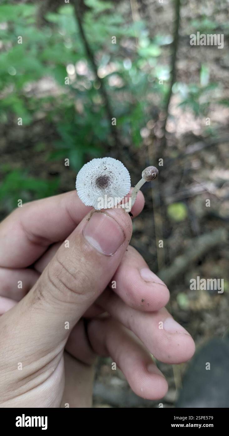 Suelo húmedo hi-res stock photography and images - Alamy