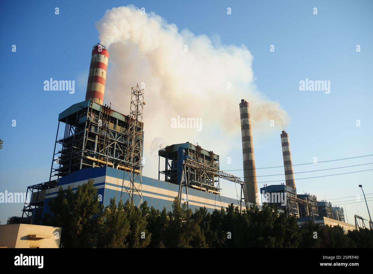 (250214) -- WASIT, Feb. 14, 2025 (Xinhua) -- This photo taken on Feb ...