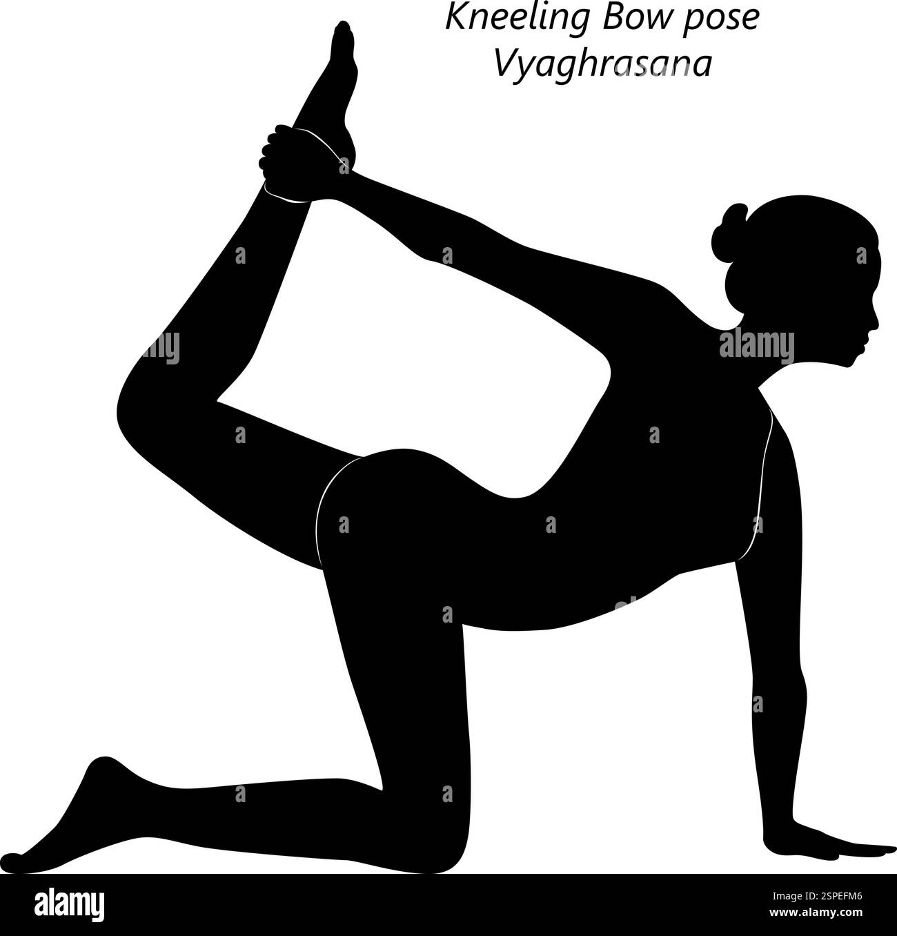 Silhouette of woman practicing Vyaghrasana yoga pose. Kneeling Bow pose ...