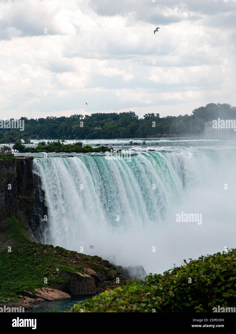 Water tumbles over the cliff at Niagara Falls, surrounded by lush ...
