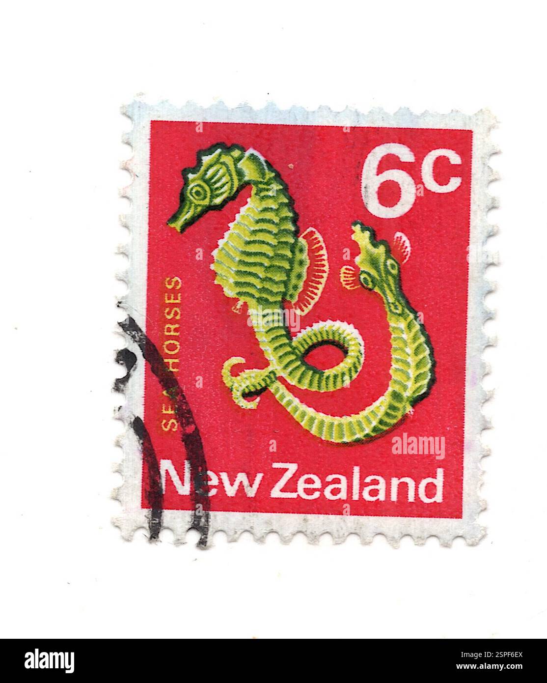 A vintage sea creature postage stamp from New Zealand isolated on a ...