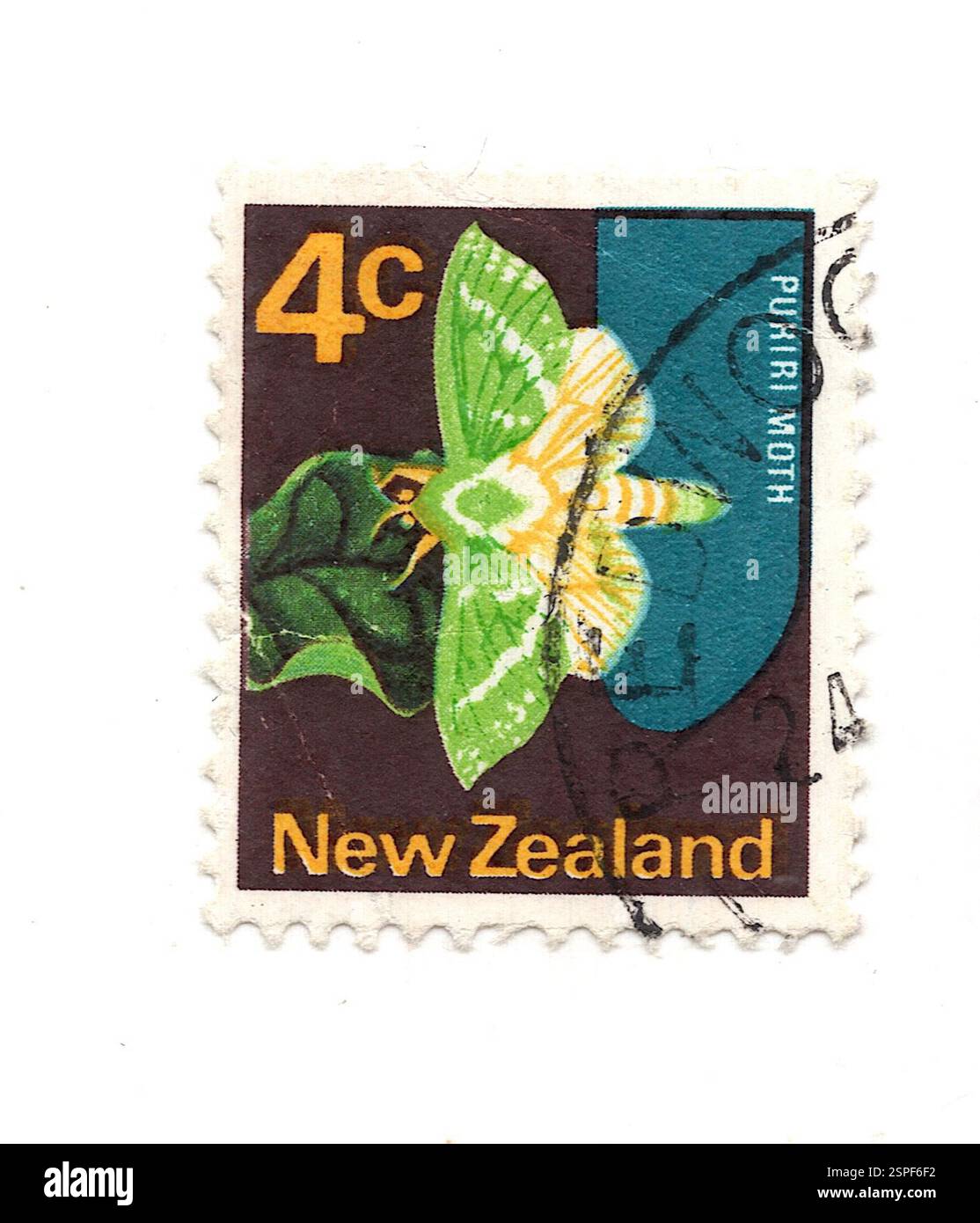 A vintage moth postage stamp from New Zealand isolated on a white ...