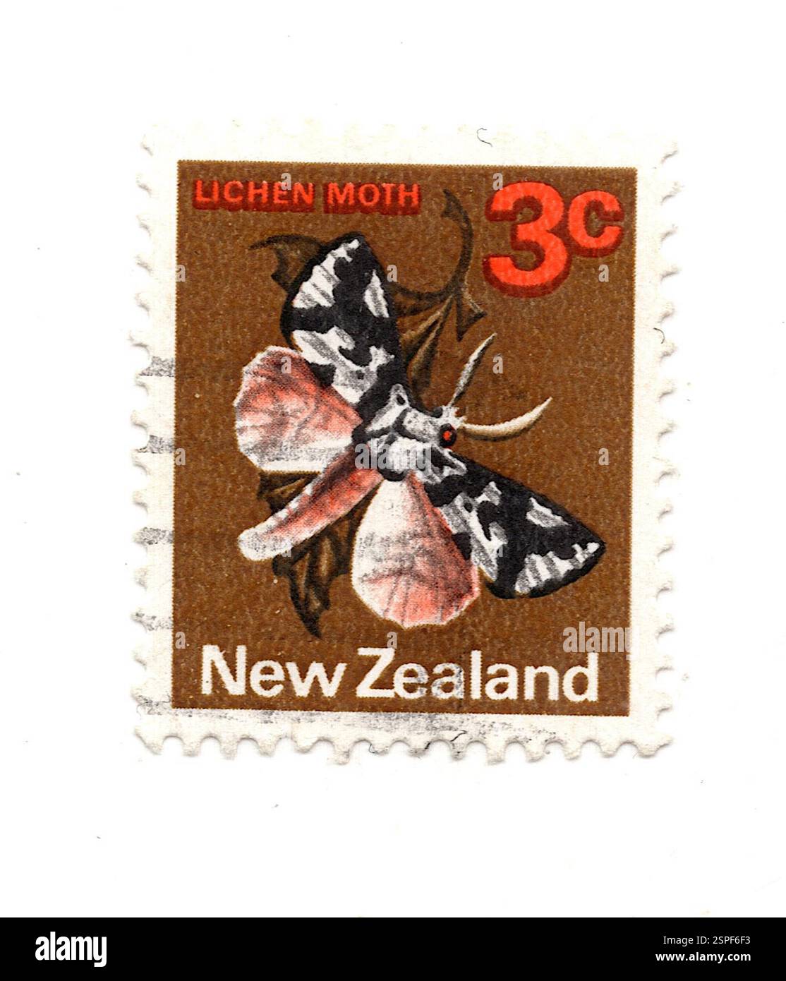 A vintage moth postage stamp from New Zealand isolated on a white ...
