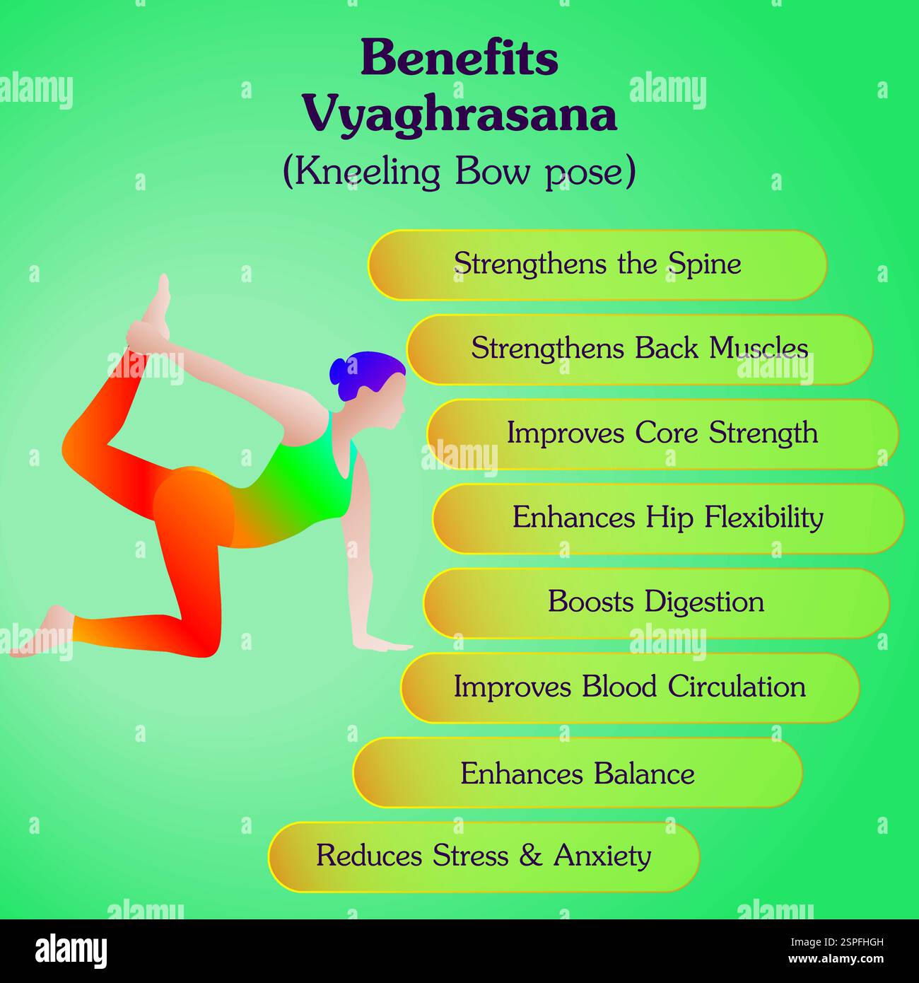 Benefits of practicing Vyaghrasana yoga pose. Kneeling Bow pose ...
