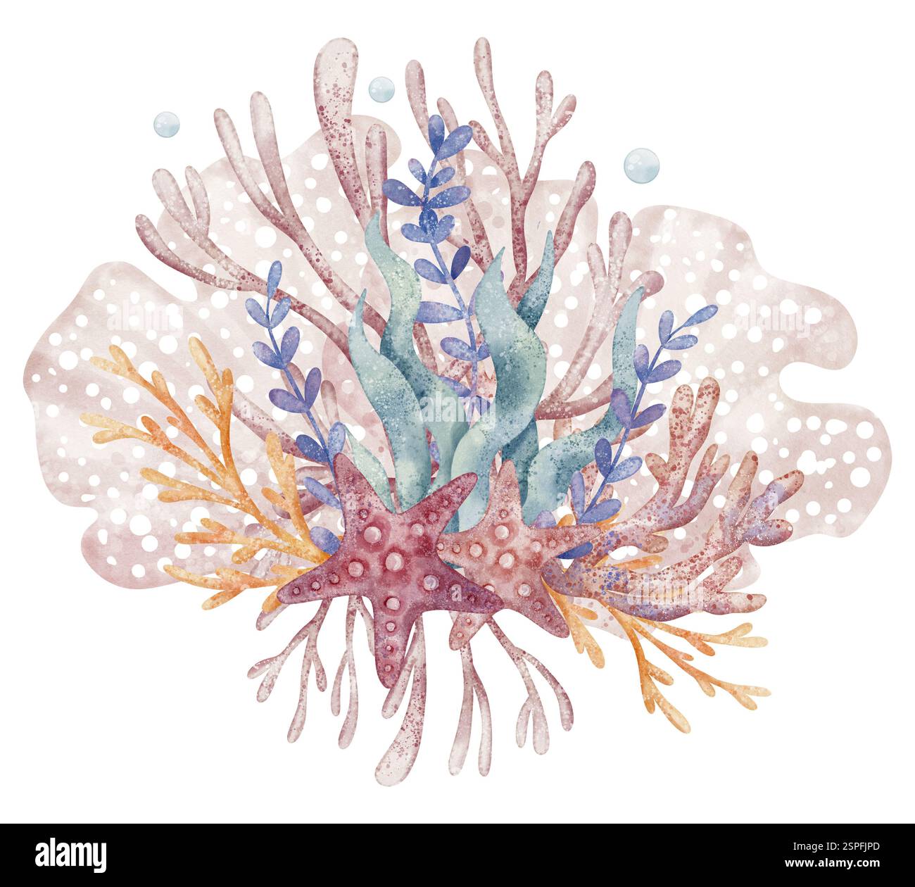 Watercolor illustration of Corals and Seaweed with starfish, bubbles ...