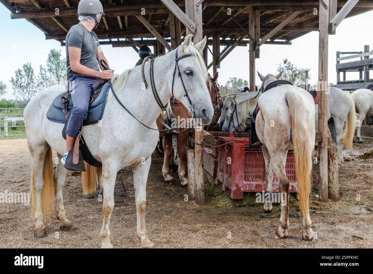 Rider ready walk in hi-res stock photography and images - Alamy