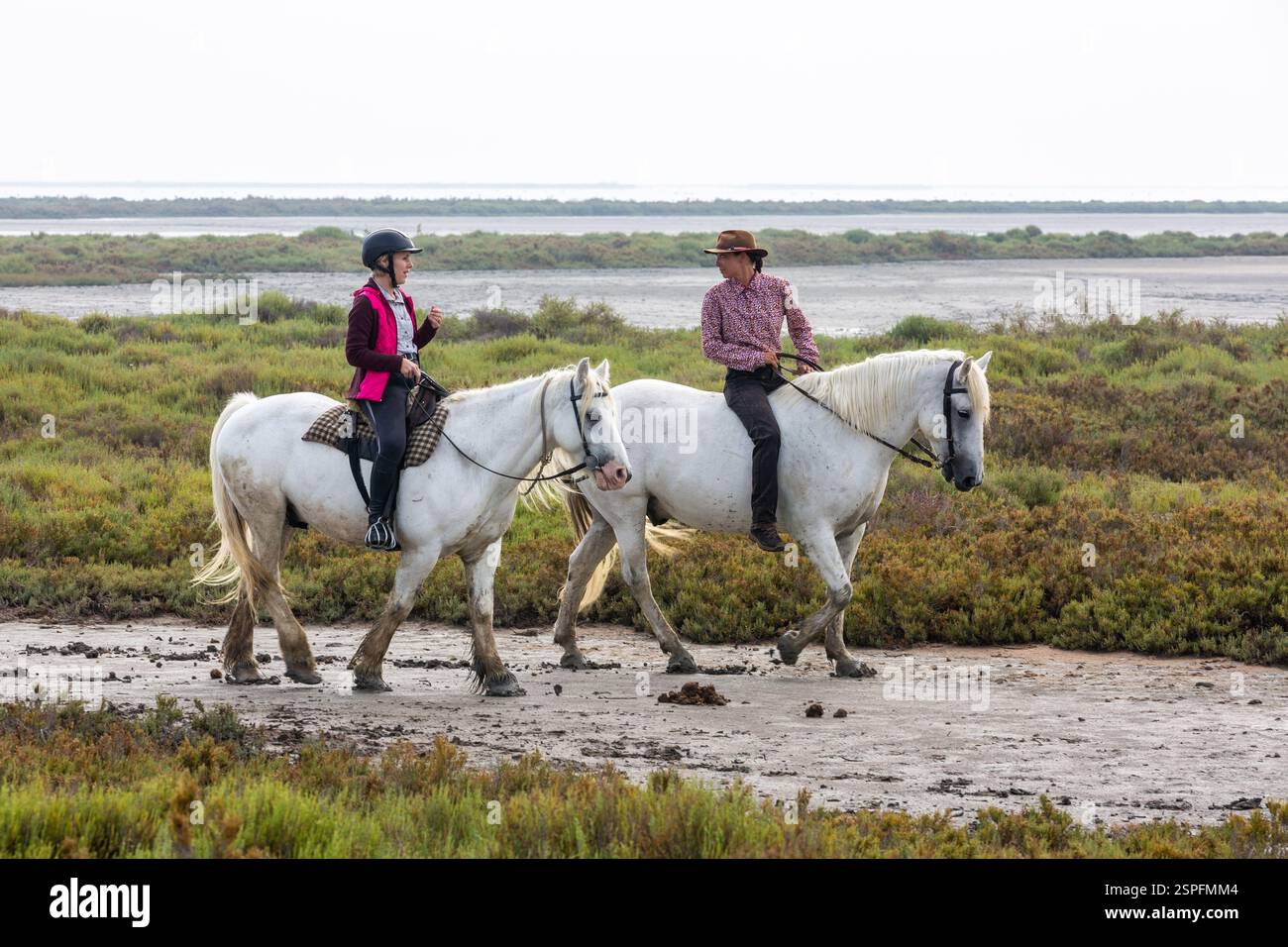 Two riders riding a Carmargue horse, one of them looking back Stock ...