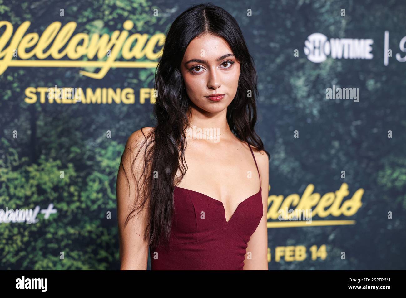 LOS ANGELES, CALIFORNIA, USA - FEBRUARY 13: Anisa Harris arrives at the ...