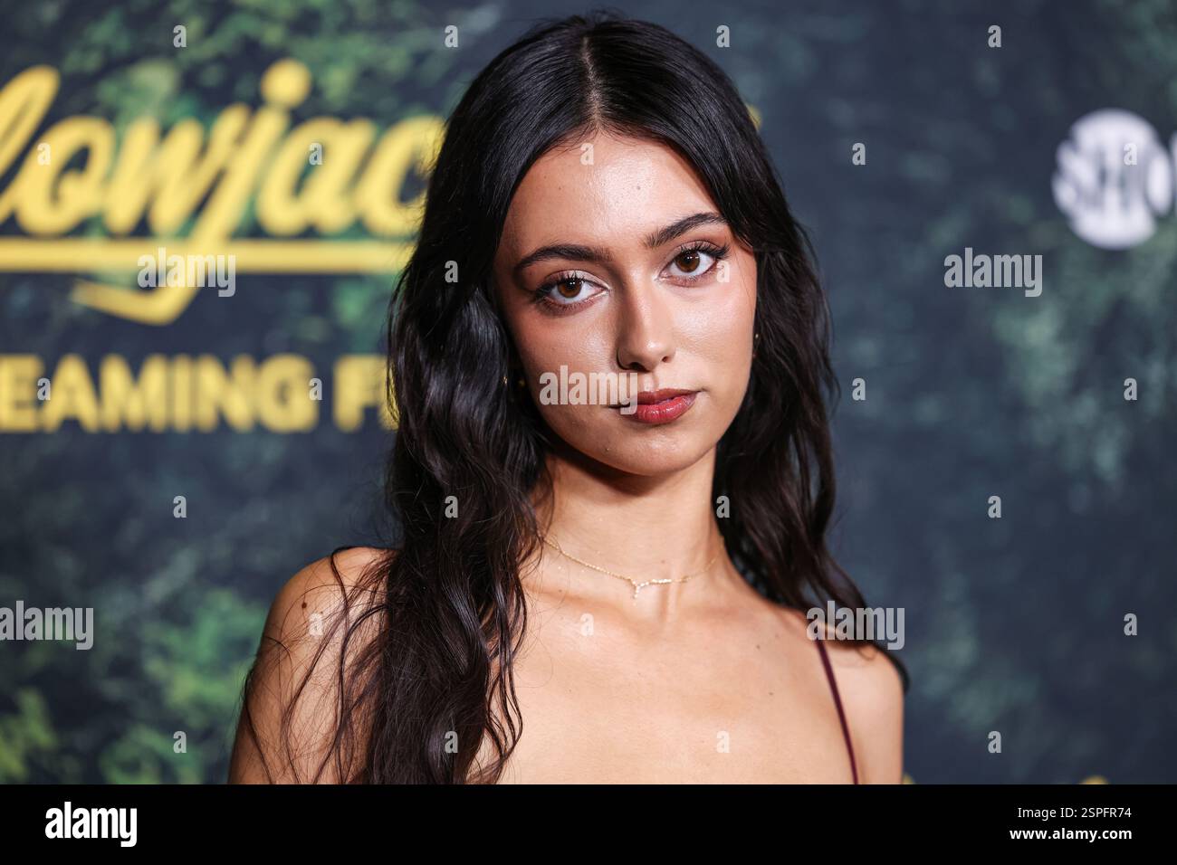 LOS ANGELES, CALIFORNIA, USA - FEBRUARY 13: Anisa Harris arrives at the ...