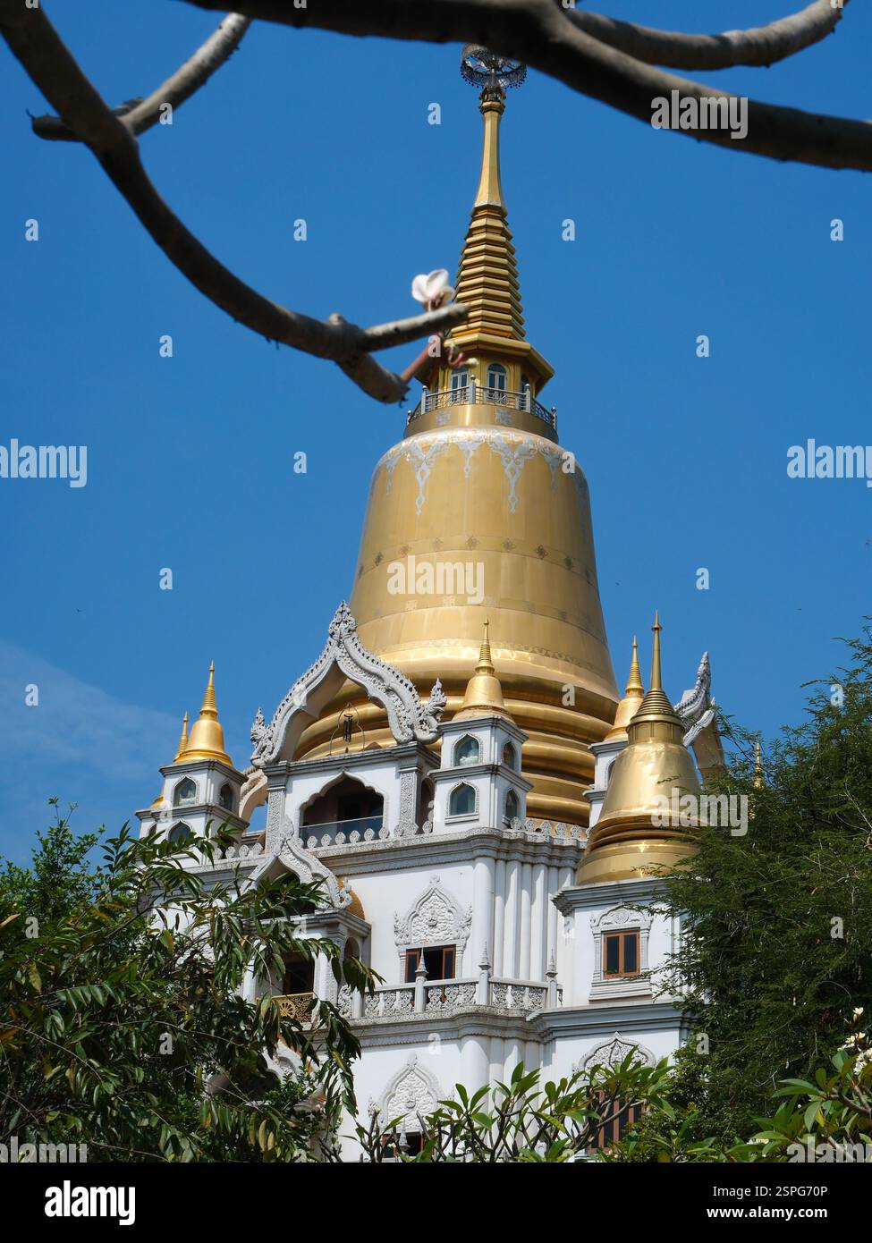Magnificent Thai temple architecture in Vietnam, featuring intricate ...
