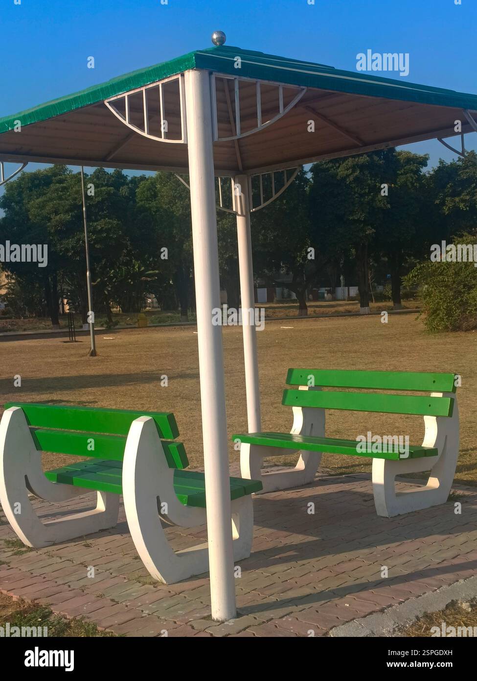 green and white colour empty bench Stock Photo - Alamy